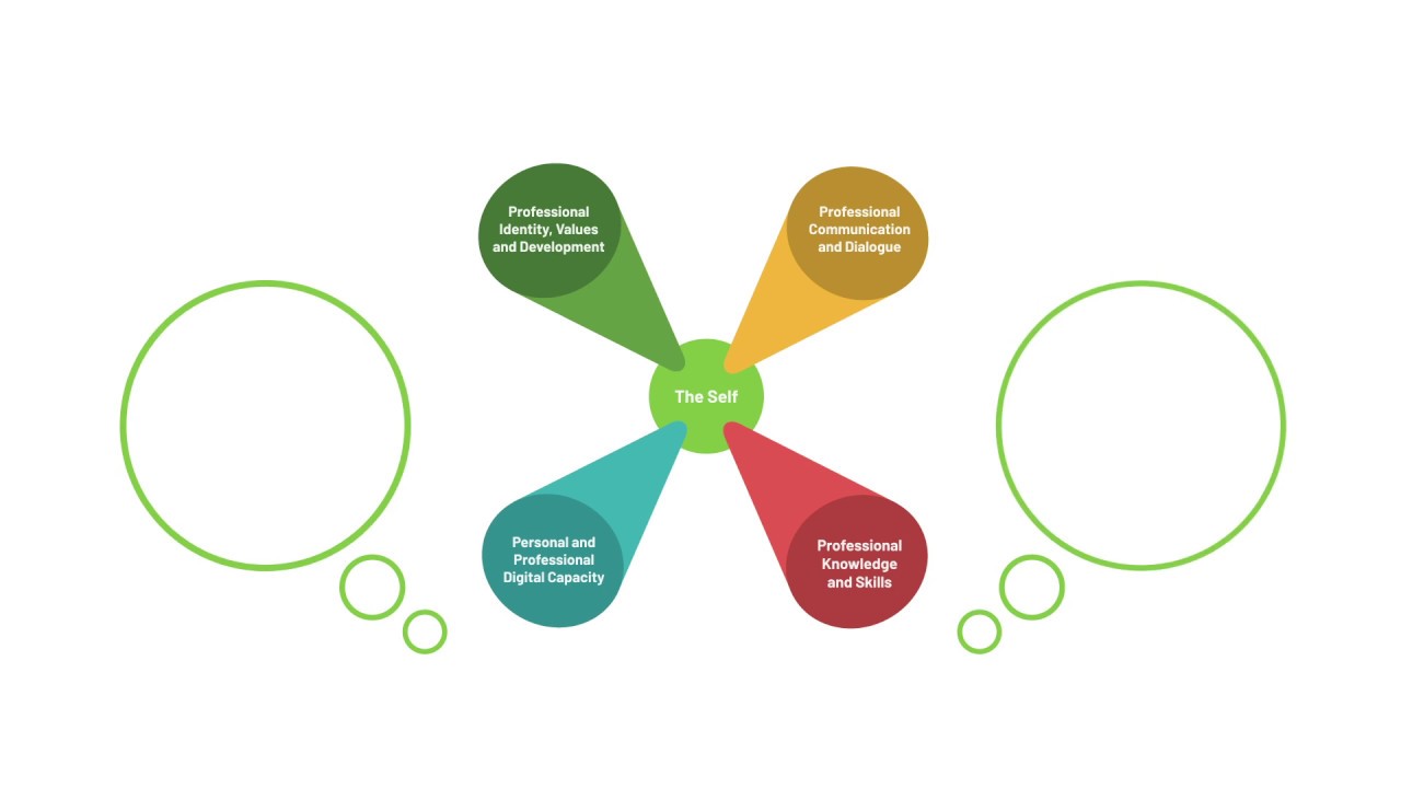 National Professional Development Framework: Domains - National Forum ...